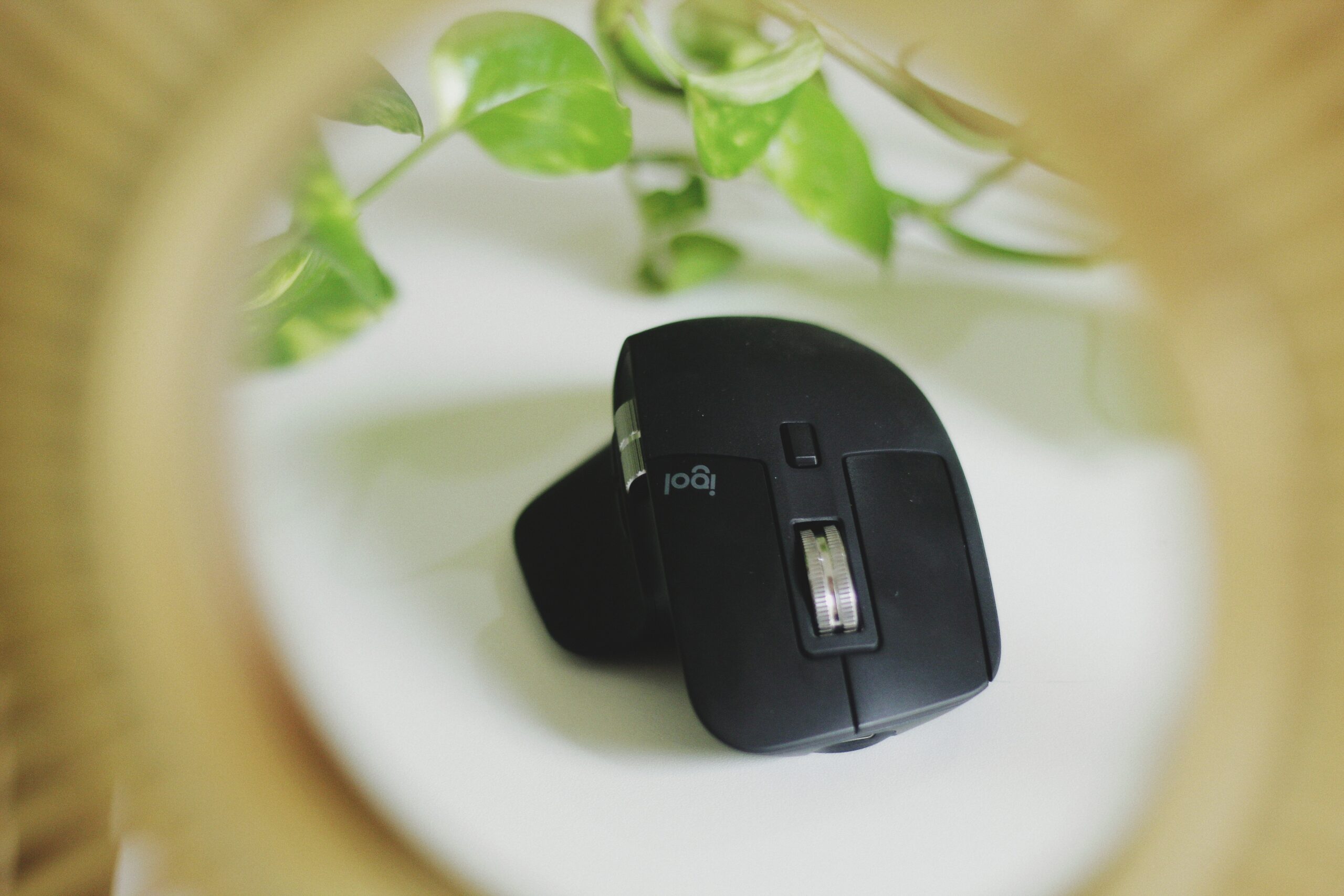 Step-by-step instructions for Arrangement of a Wired Logitech Mouse ...